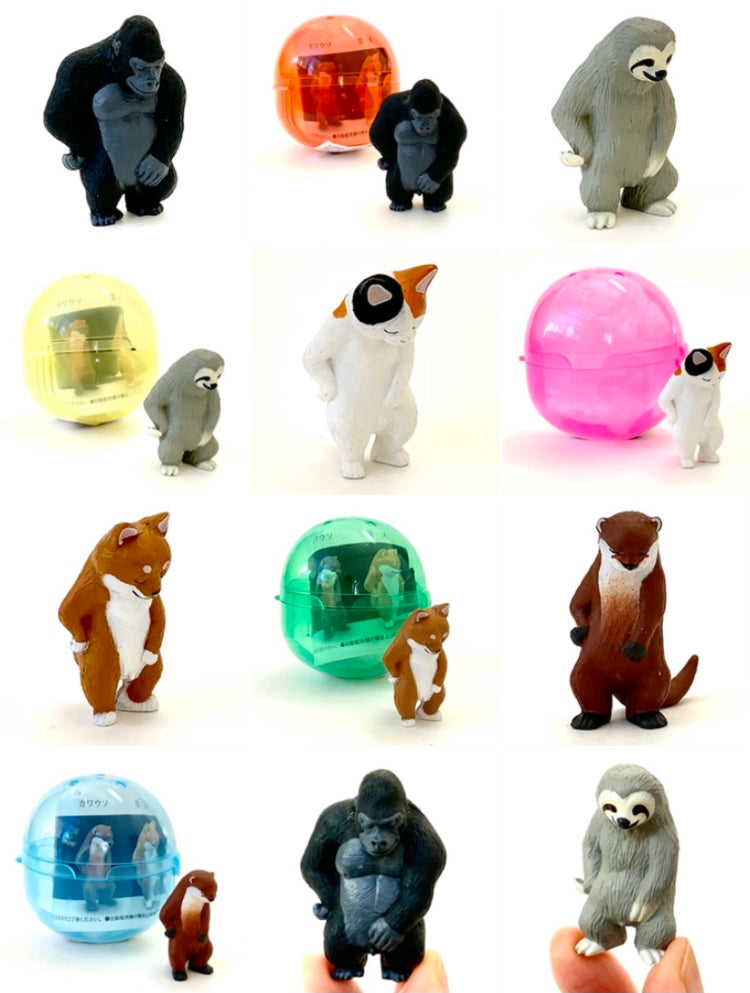 70842 PEEING ANIMAL CAPSULE-5 – IwakoUSA