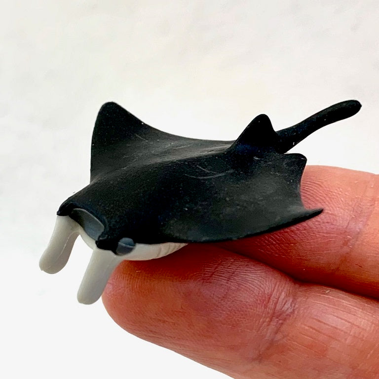 382503 IWAKO STINGRAY MANTA ERASER-BLACK-1 eraser – IwakoUSA