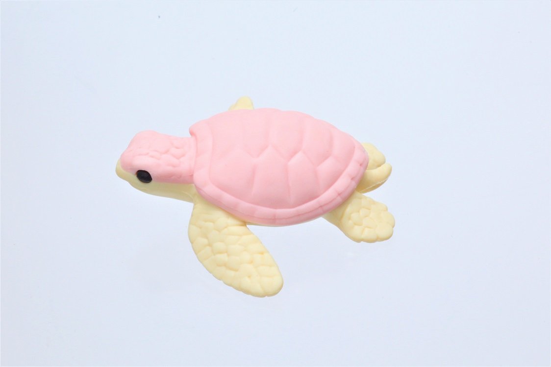 382512 IWAKO TURTLE ERASERS-3 COLORS-3 erasers – IwakoUSA